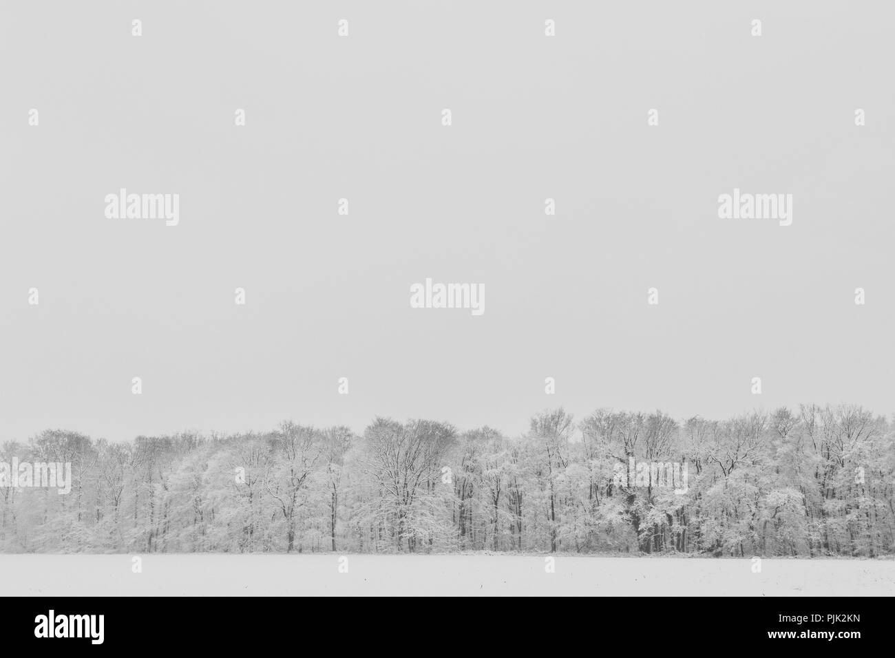 Grey winter day Black and White Stock Photos & Images - Alamy