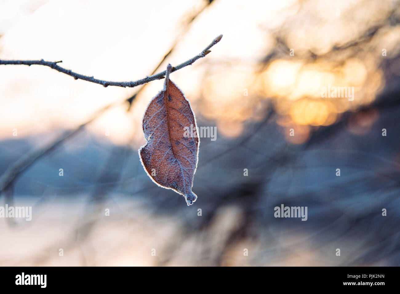 December winter landscape hi-res stock photography and images - Alamy
