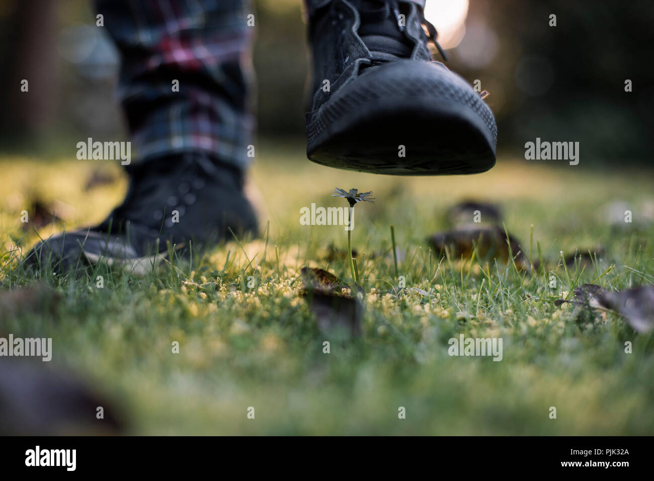 Feet trampling hi-res stock photography and images - Alamy