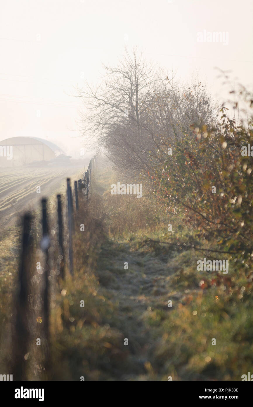 November sun hi-res stock photography and images - Alamy