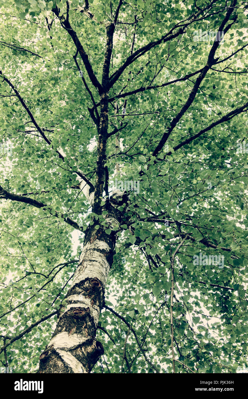 Summery weather hi-res stock photography and images - Alamy