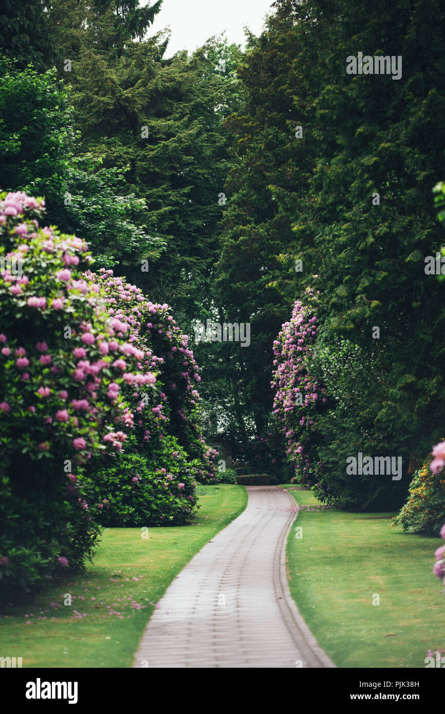 Paved path in garden hi-res stock photography and images - Alamy