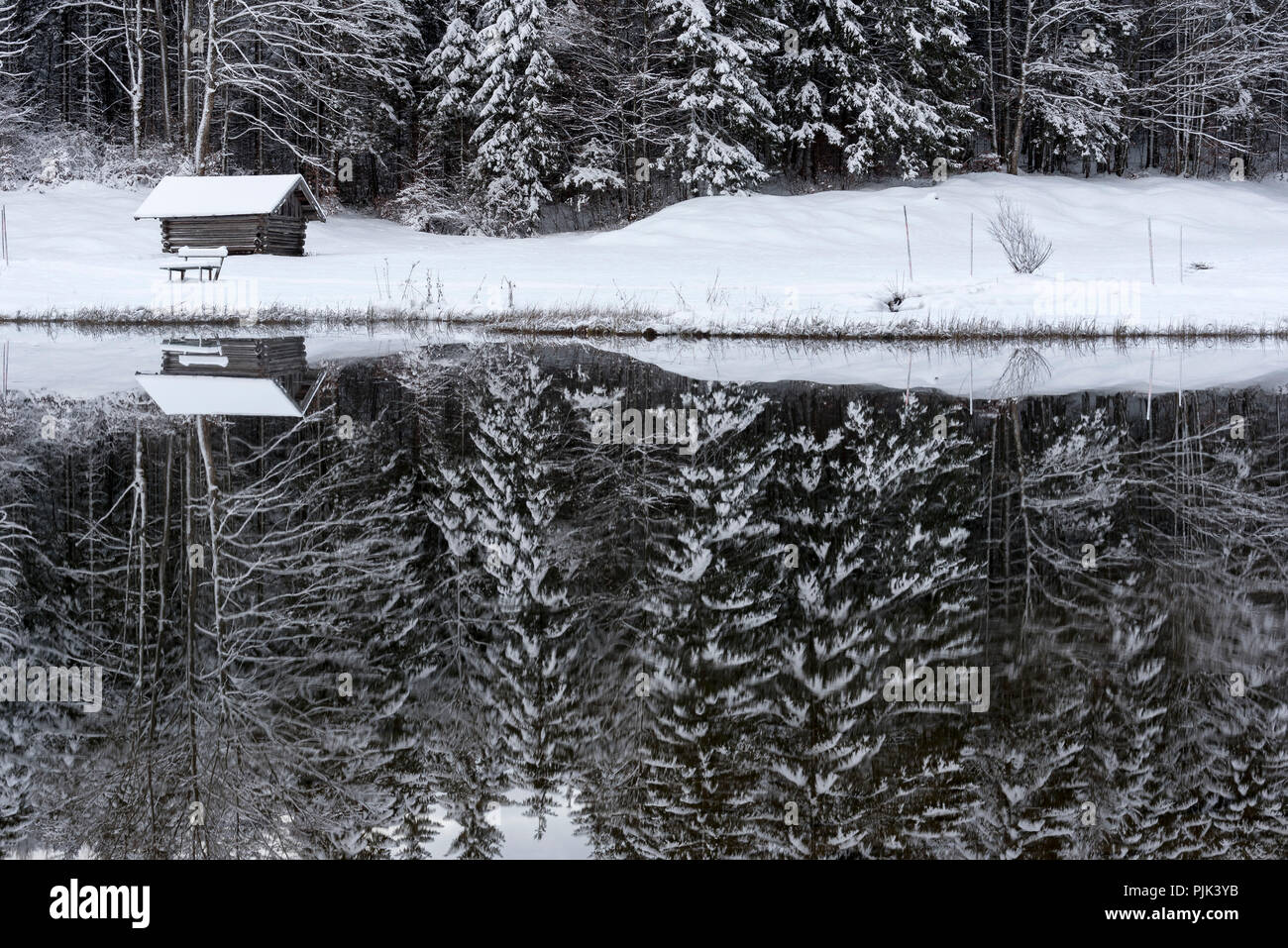 Haystack at winter snowy Ferchensee near Mittenwald Stock Photo - Alamy