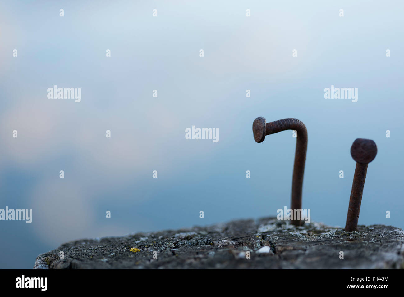 Two old crooked nails in a weathered post Stock Photo - Alamy
