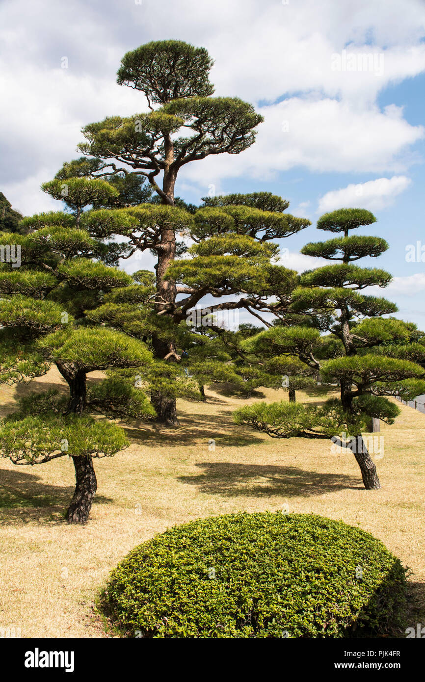 Sengan-en garden of Kagoshima in Japan Stock Photo - Alamy