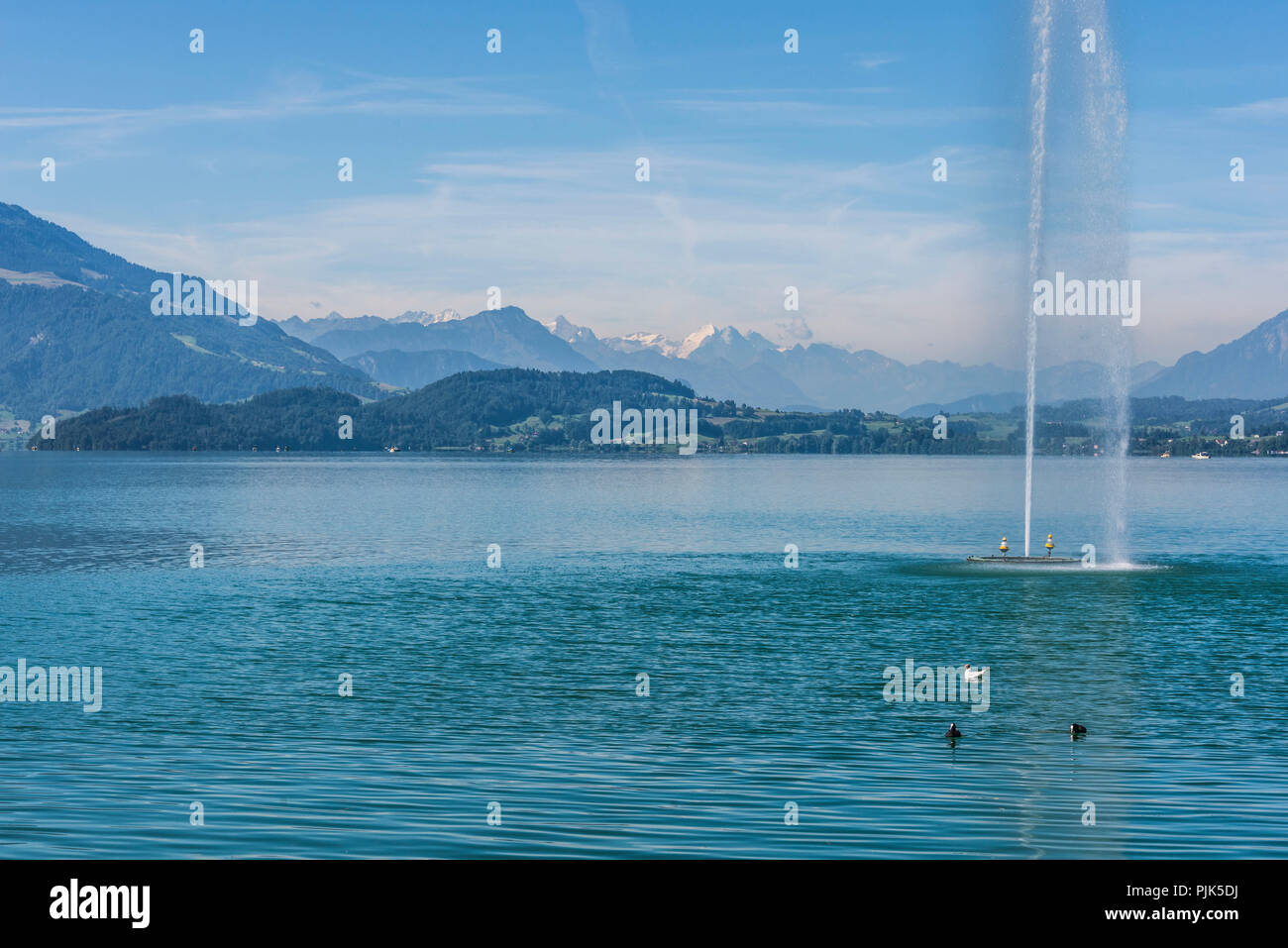 View of the lake, Zug, Lake Zug, canton of Zug, Switzerland Stock Photo ...