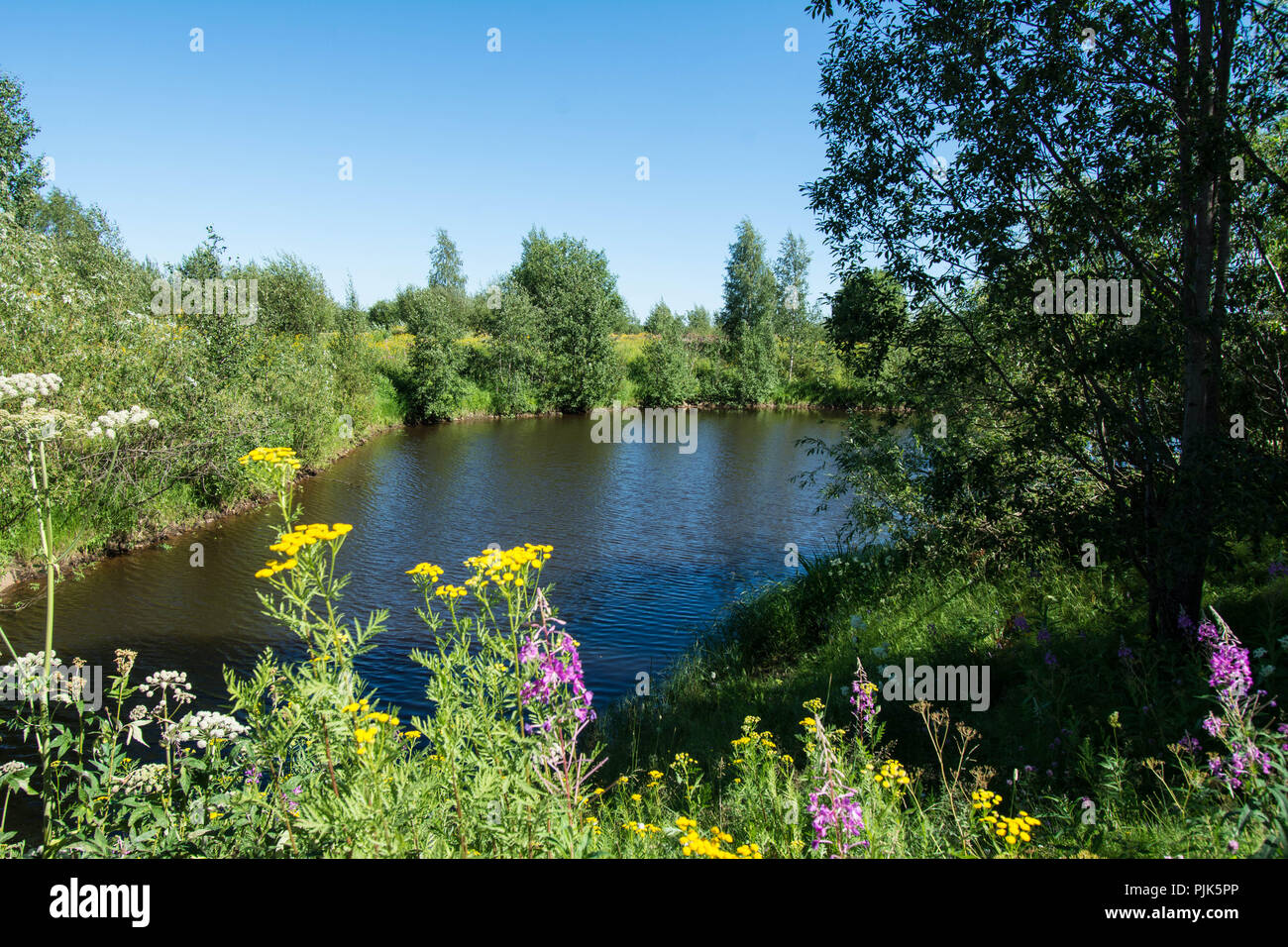 Lap land finland hi-res stock photography and images - Alamy