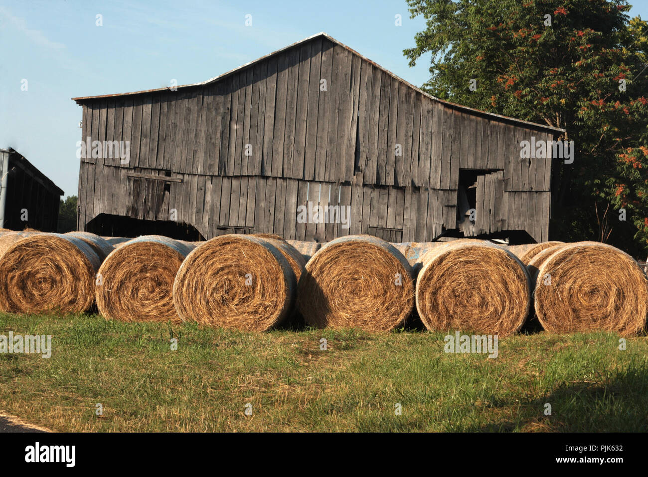 Hay bales and simple wooden barn Stock Photo - Alamy