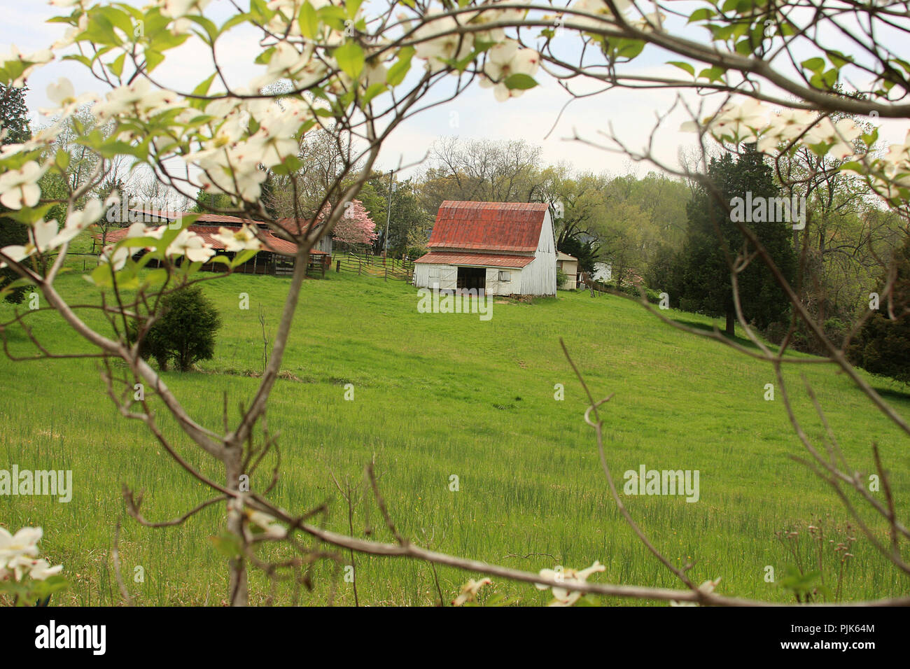 Beautiful scene in Virginia's countryside, with small stable in ...