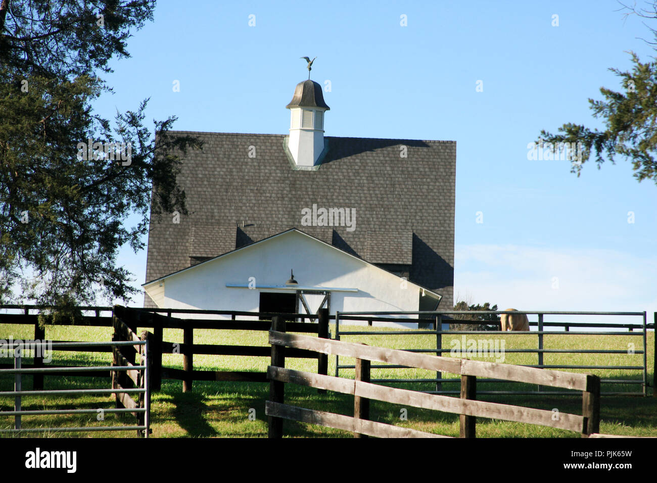 Fancy horse stables hi-res stock photography and images - Alamy