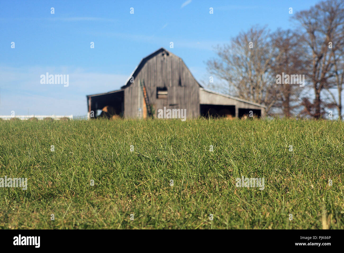 Old barn field southern states hi-res stock photography and images - Alamy
