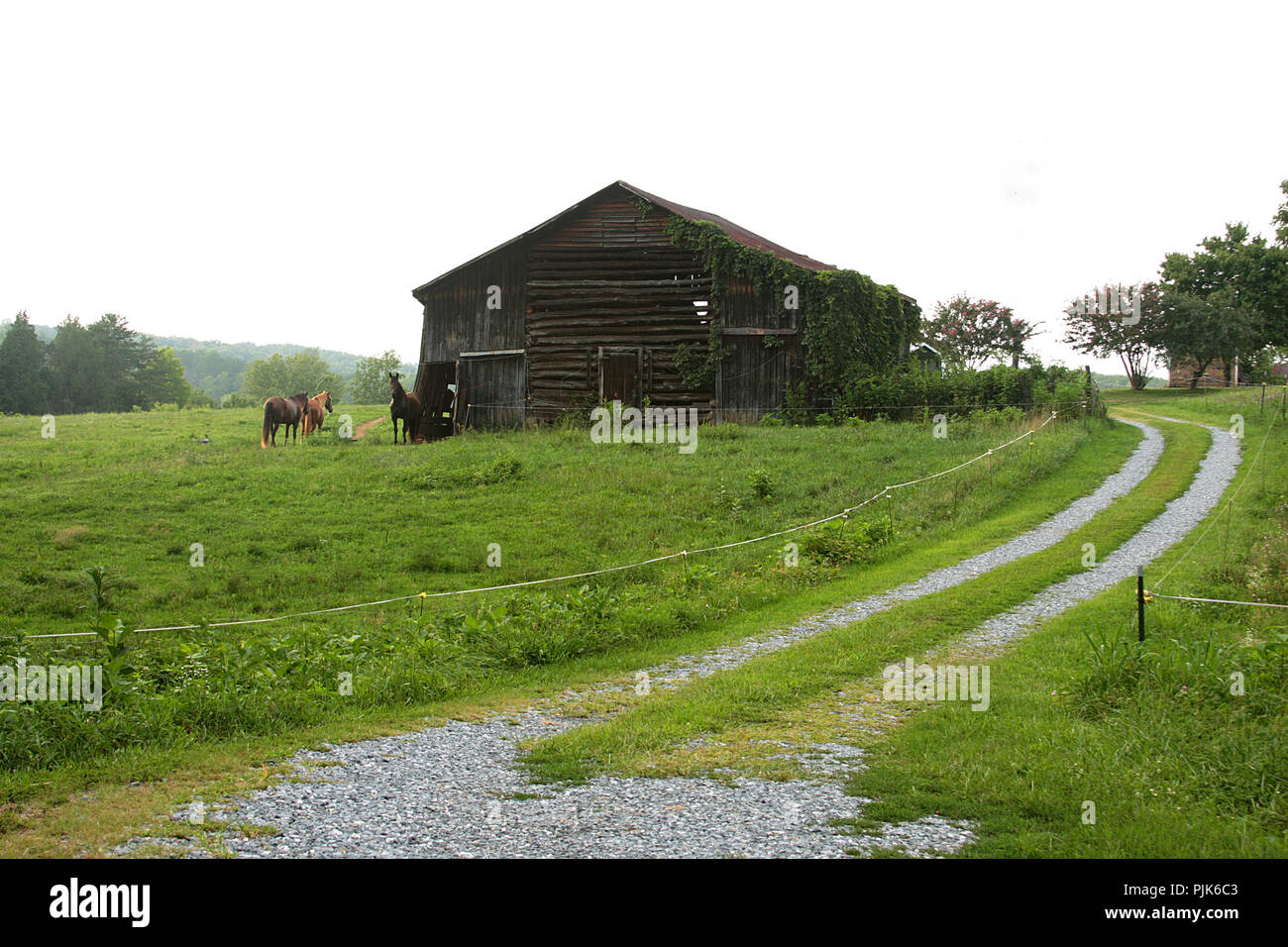Virginia countryside horse usa hi-res stock photography and images - Alamy