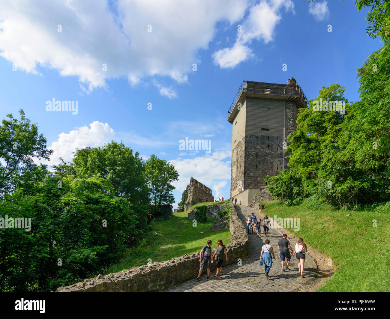Castle in hungary hi-res stock photography and images - Alamy