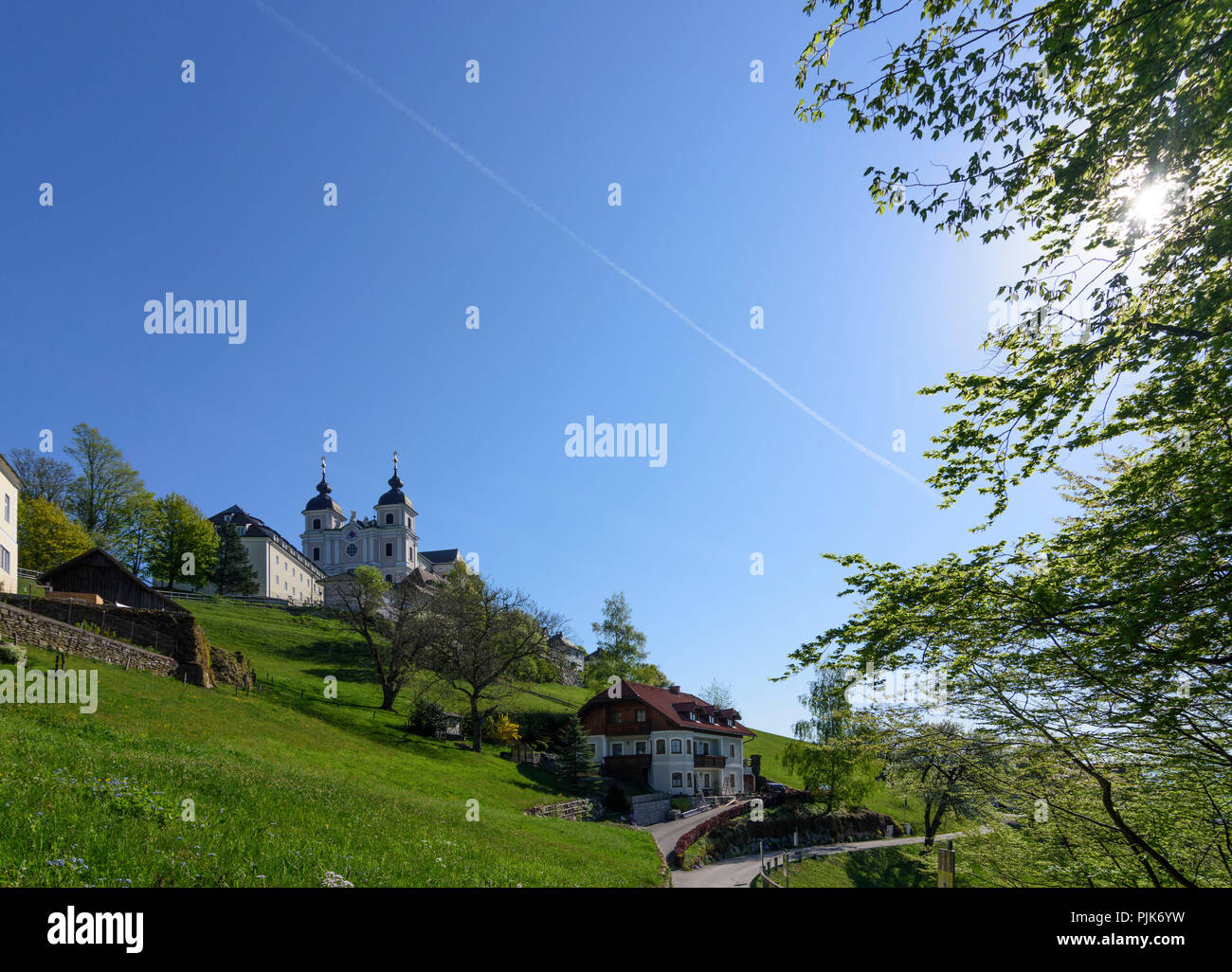 Blossoming pear tree trees in austria hi-res stock photography and ...