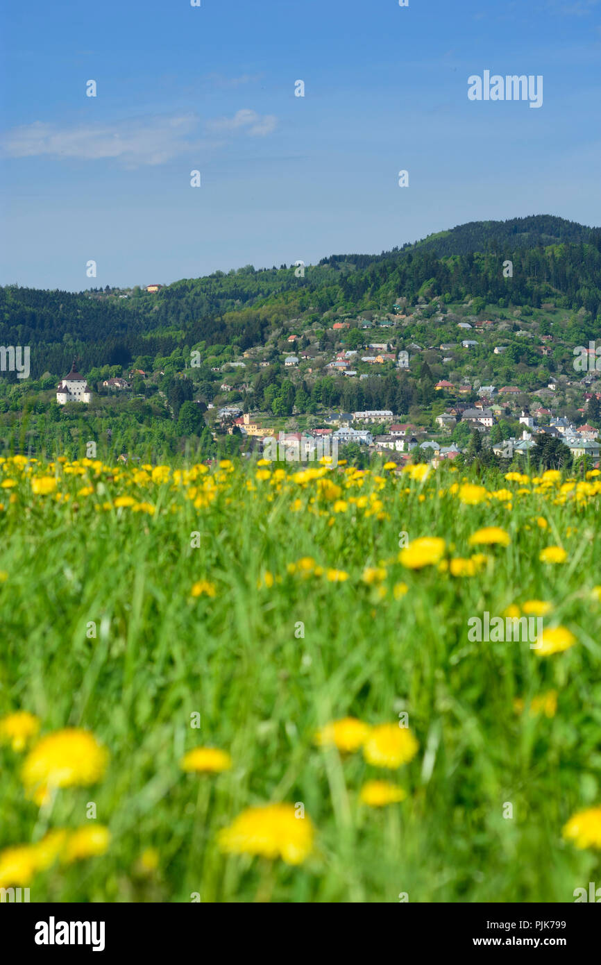 Schemnitz mountains hi-res stock photography and images - Alamy