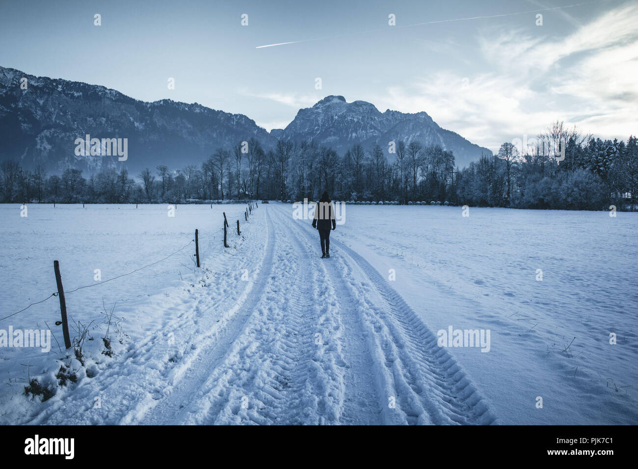 Winter walk at forggensee reservoir hi-res stock photography and images ...