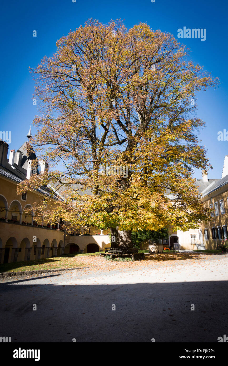 Historic abbey courtyard hi-res stock photography and images - Alamy