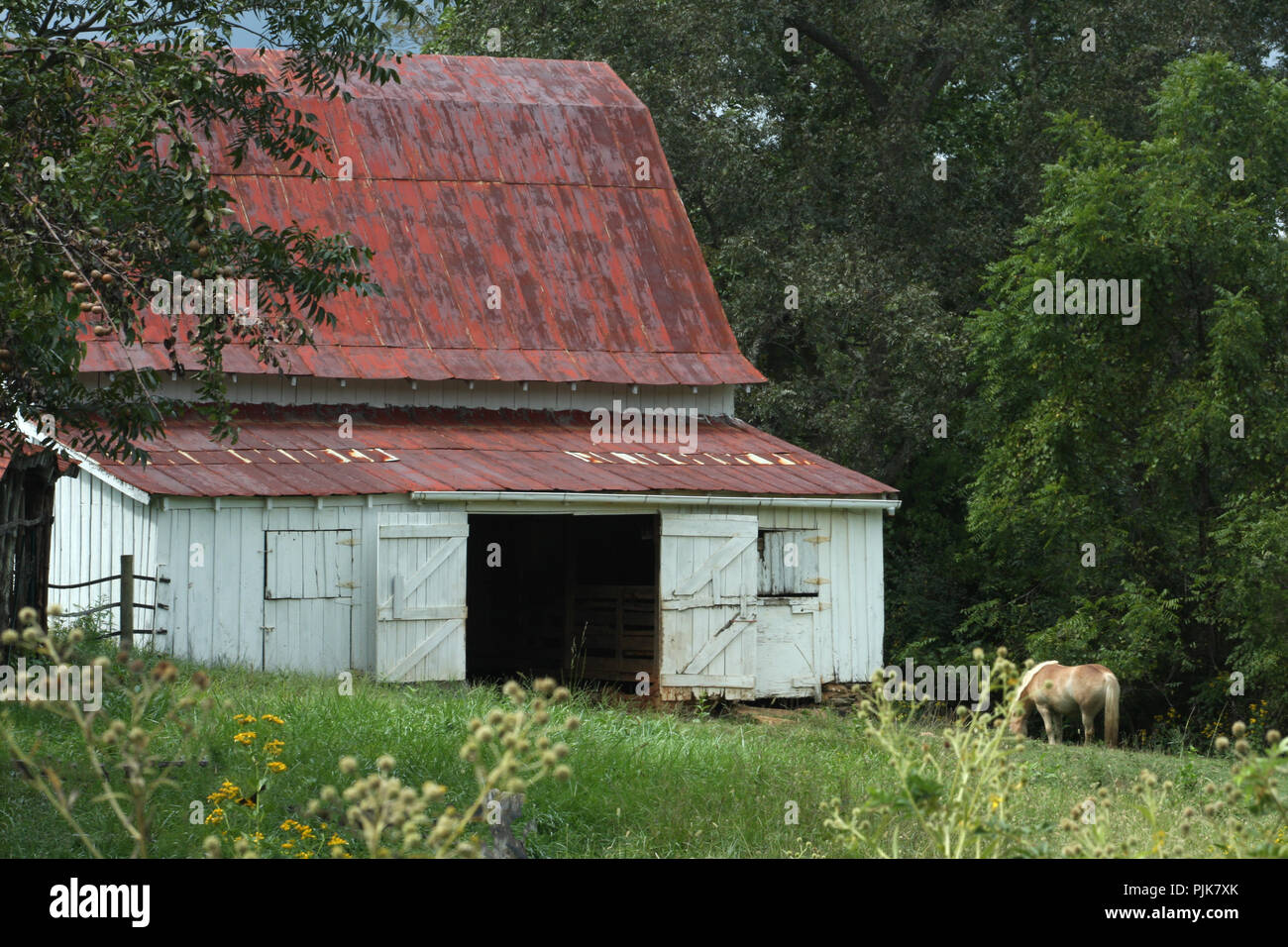Virginia countryside horse usa hi-res stock photography and images - Alamy