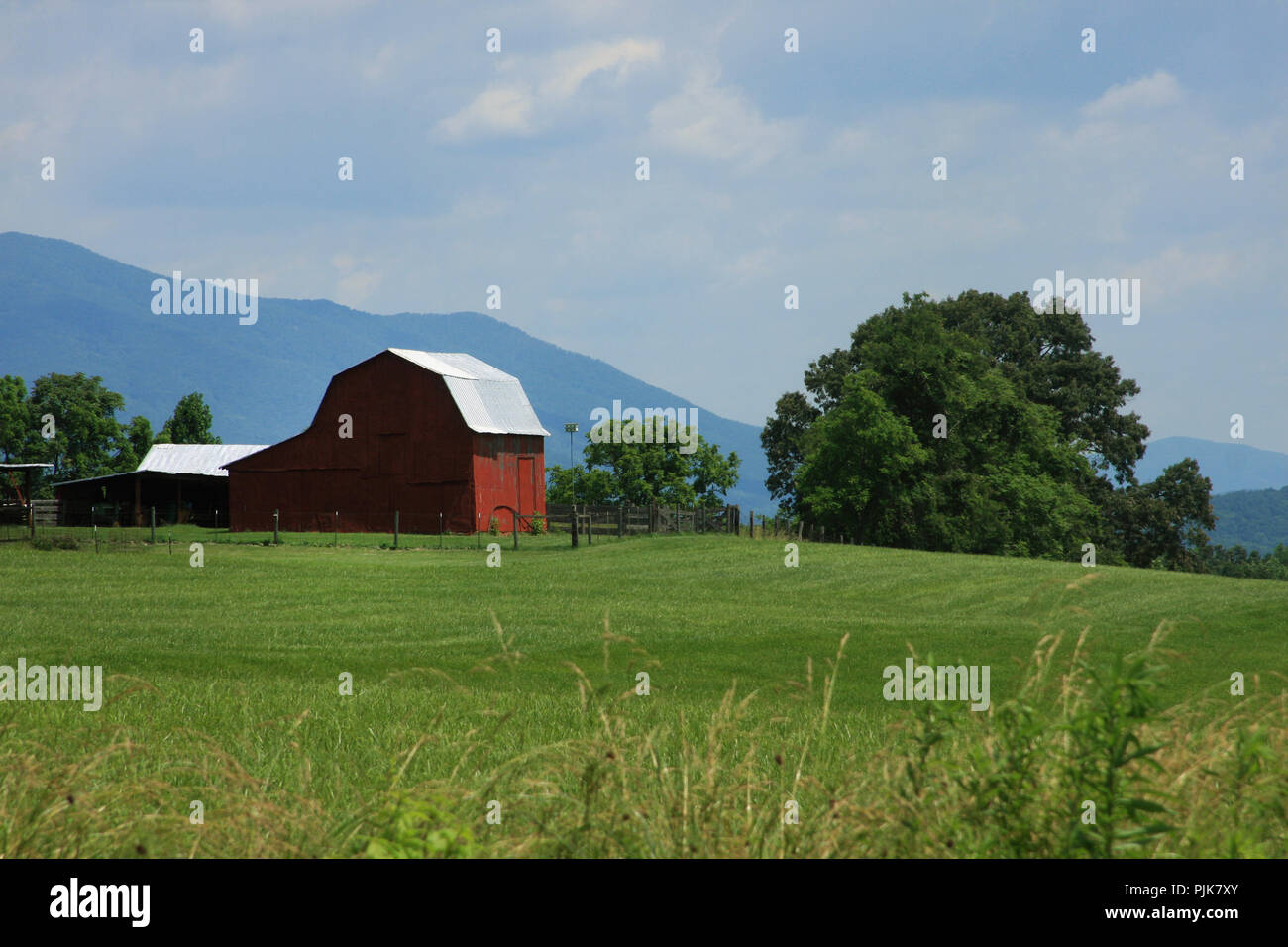 Virginia, USA. Landscape in the countryside with red barn in green ...