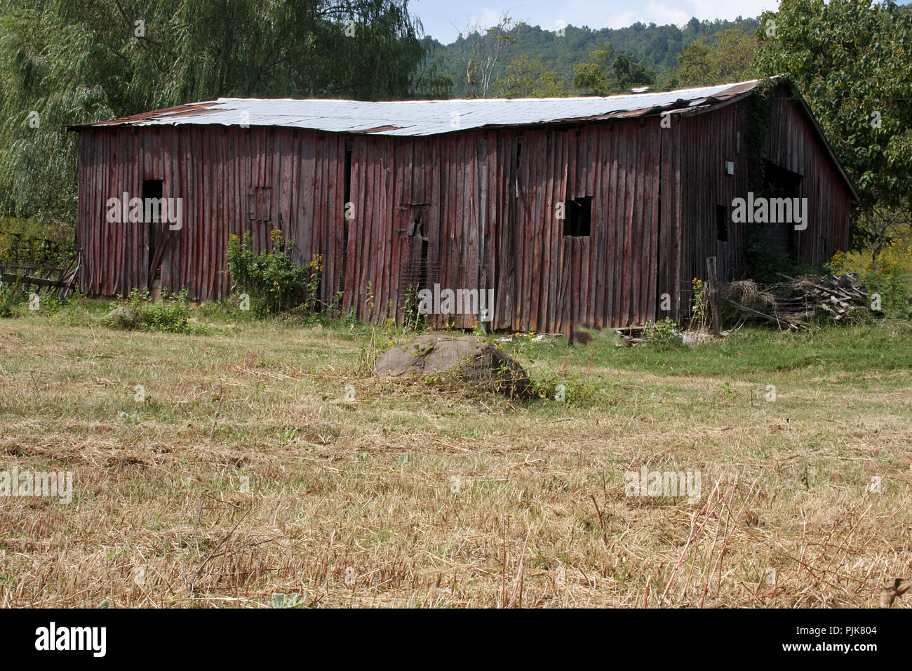 Abandoned shed hi-res stock photography and images - Alamy