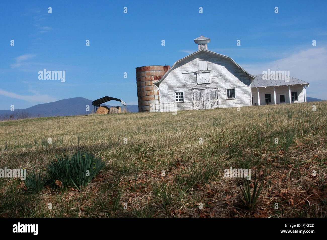 Beautiful large white barn in Virginia's countryside Stock Photo - Alamy