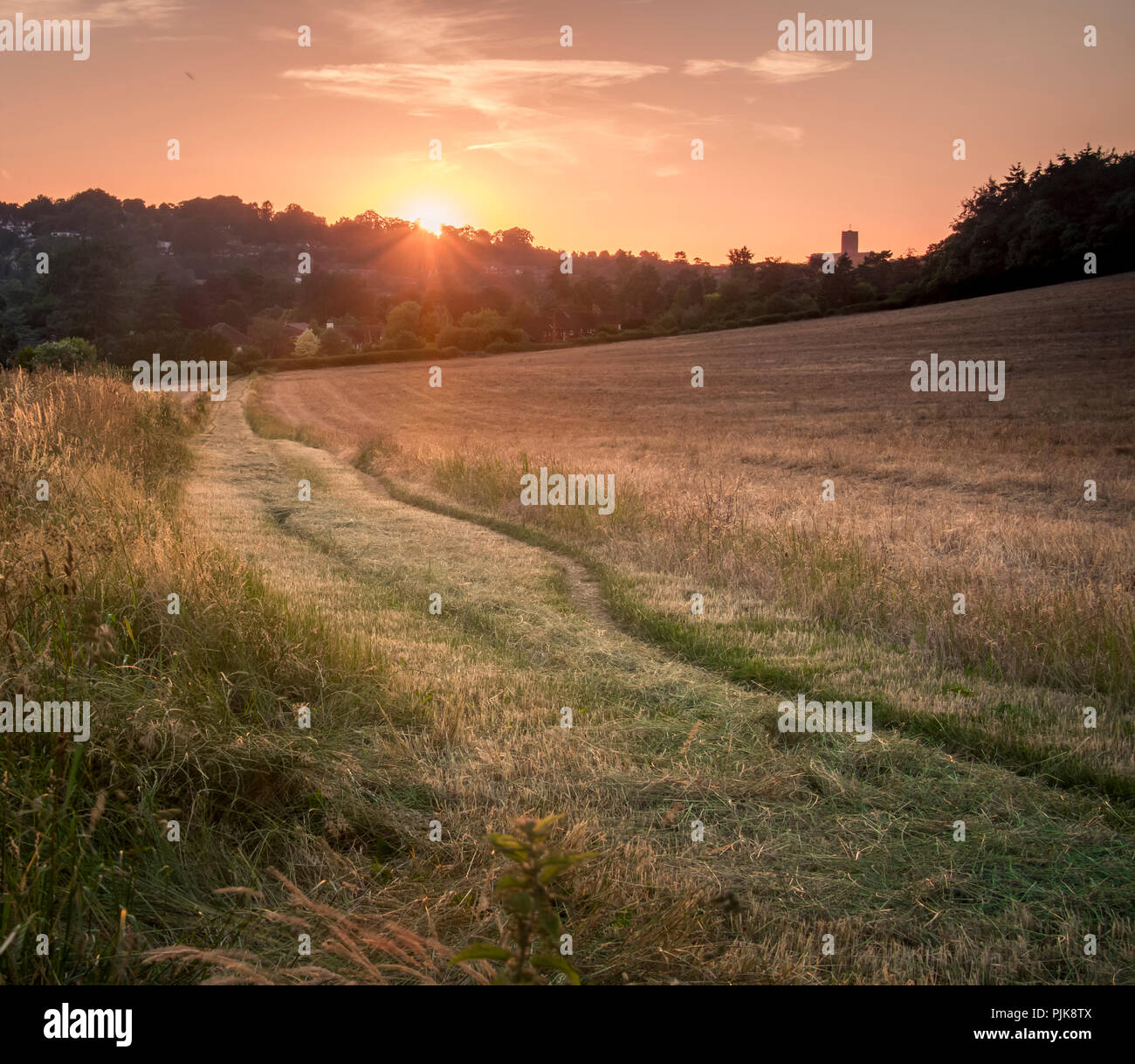 Chantries hill hi-res stock photography and images - Alamy