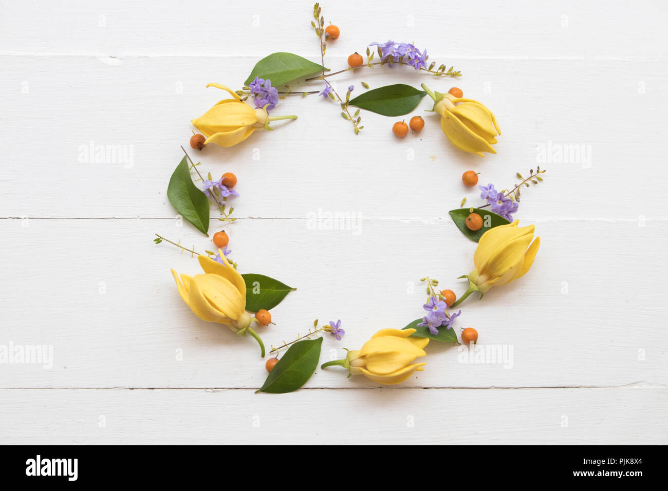 ylang ylang yellow flower of asia arrangement circle style on ...