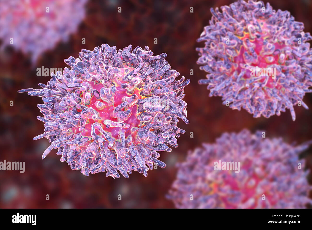 Hairy cell leukaemia. Computer illustration of abnormal white blood ...