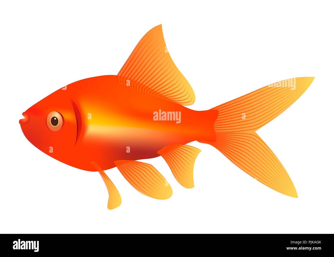 Orange fish cartoon isolated hi-res stock photography and images - Alamy