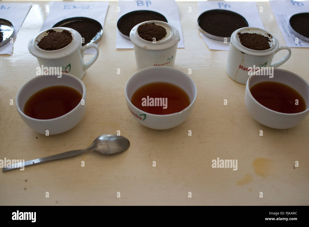 Africa Kenya Tea Plantation Limuru High Resolution Stock Photography ...