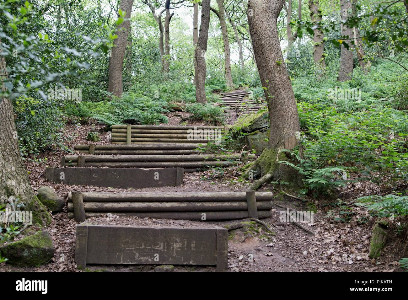 The Sandstone trail in Cheshire, is a beautiful and picturesque trail ...