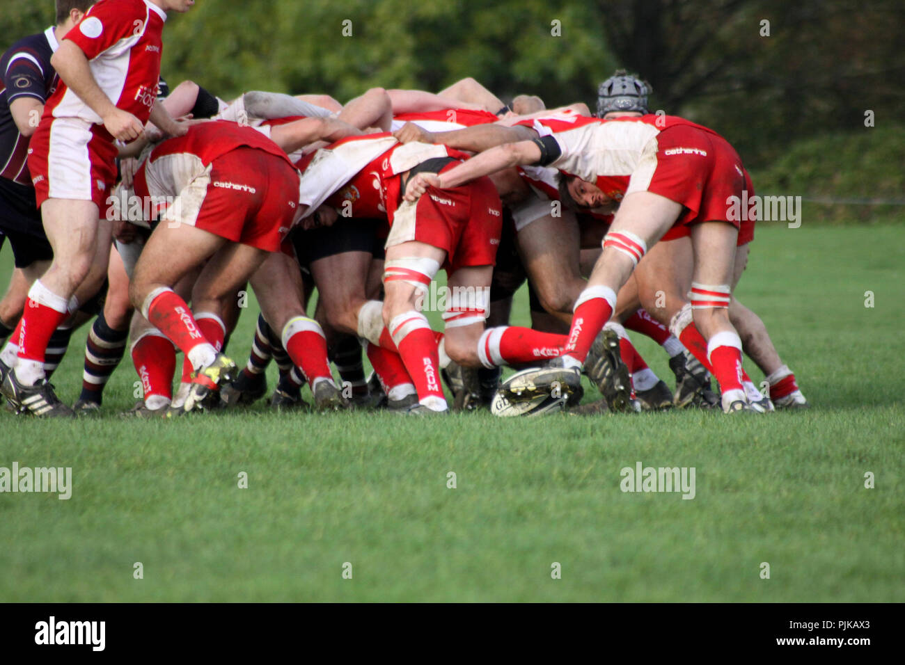 Old Pats RFC verses Barnstaple RFC Stock Photo - Alamy