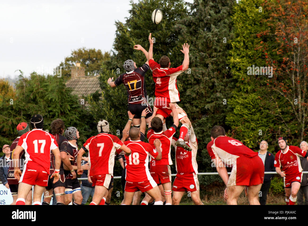 Action lineout hi-res stock photography and images - Alamy