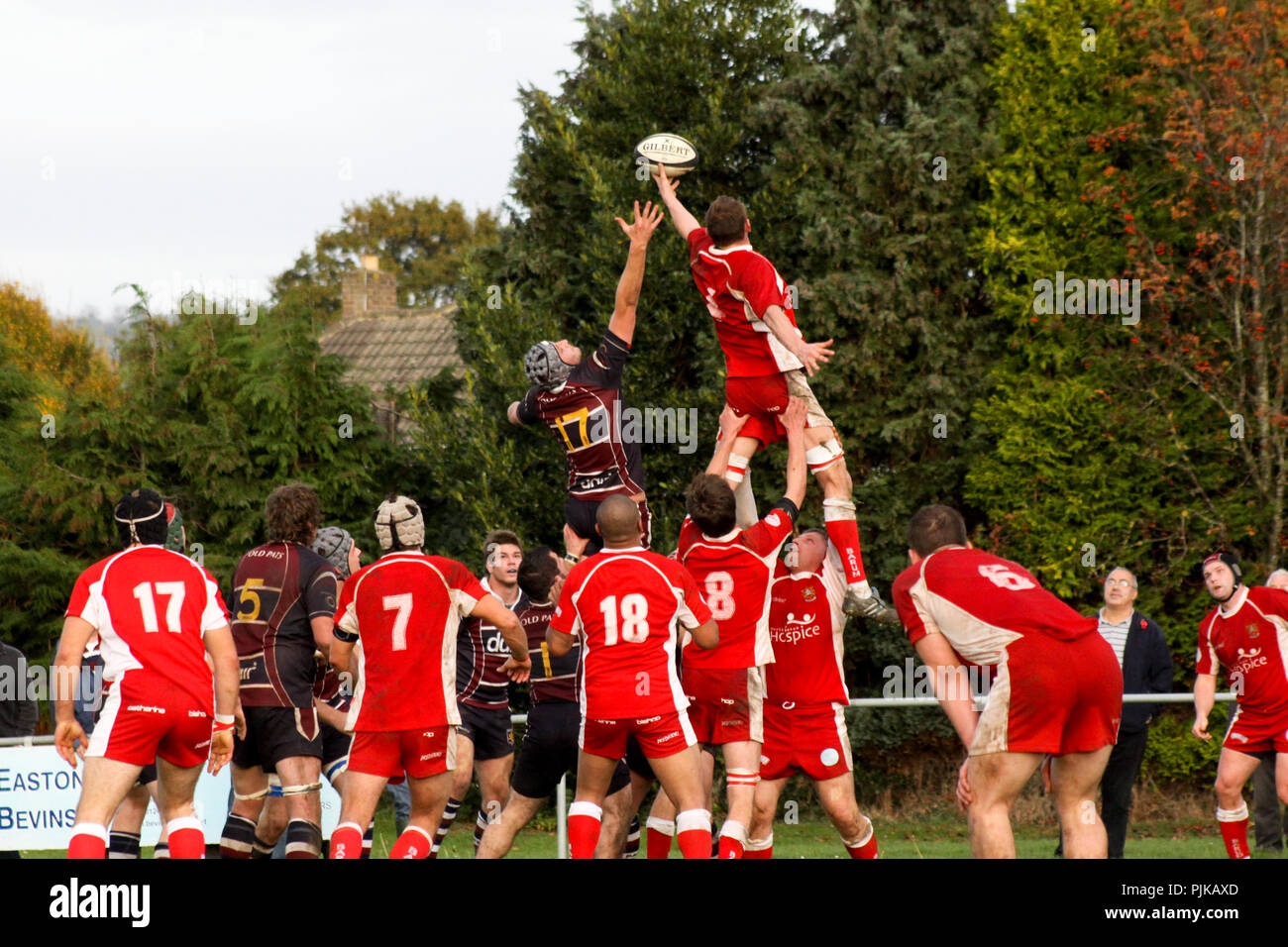 Action lineout hi-res stock photography and images - Alamy