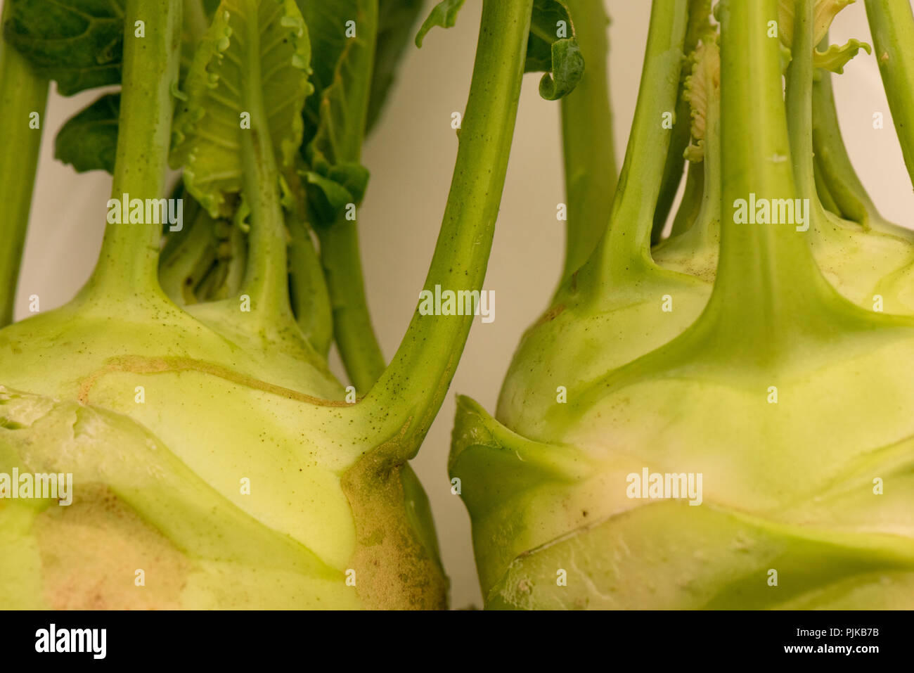 kohlrabi cruciferous vegetable tunip cabbage Stock Photo - Alamy