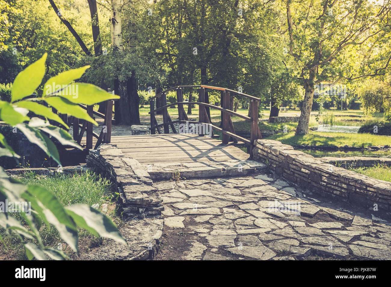 Wooden bridge in nature hi-res stock photography and images - Alamy