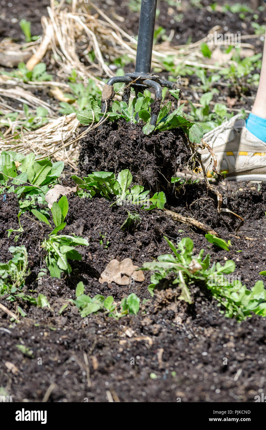 Turning the soil hi-res stock photography and images - Alamy