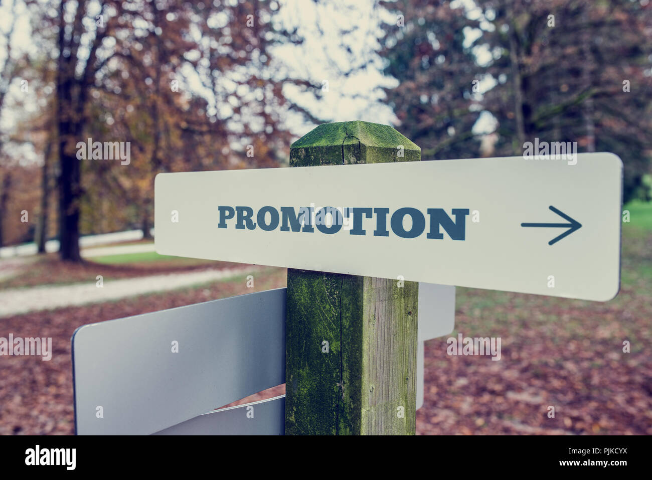 Promotion signpost with right pointing arrow and text on a rustic ...
