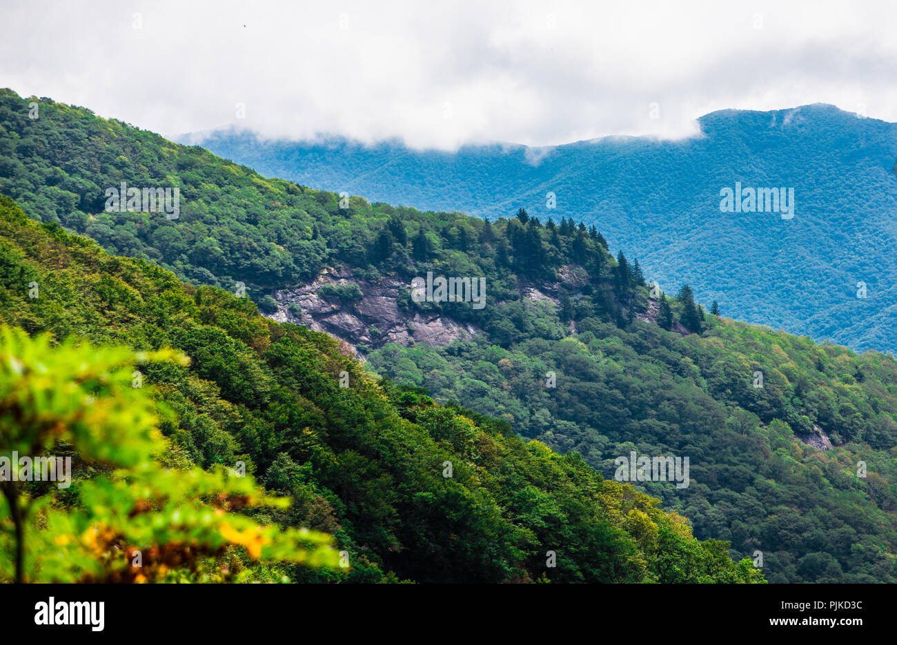 Three Green Ridges in the Blue Ridge Mountains Stock Photo - Alamy
