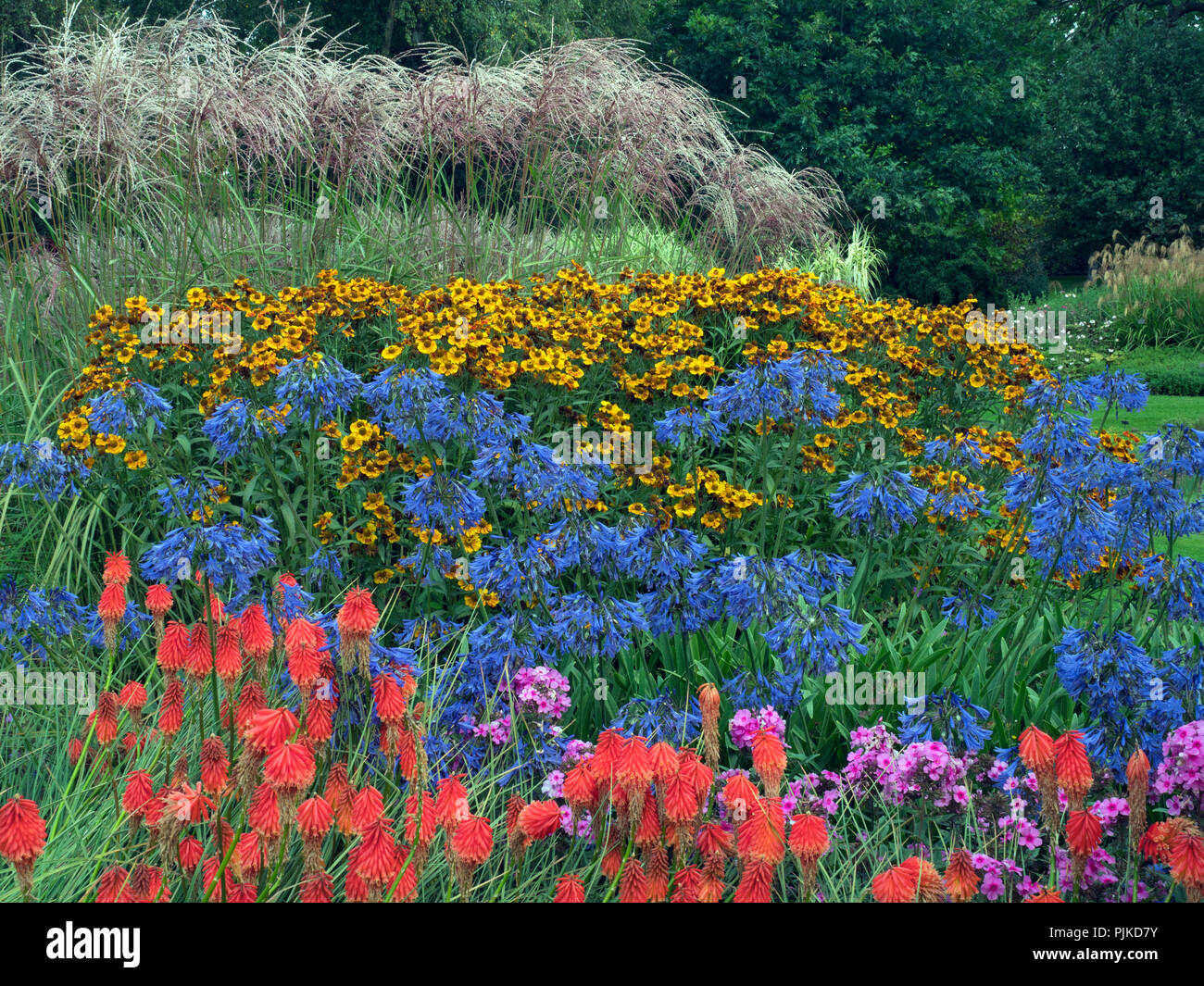 Colourful late summer garden flower border Stock Photo - Alamy