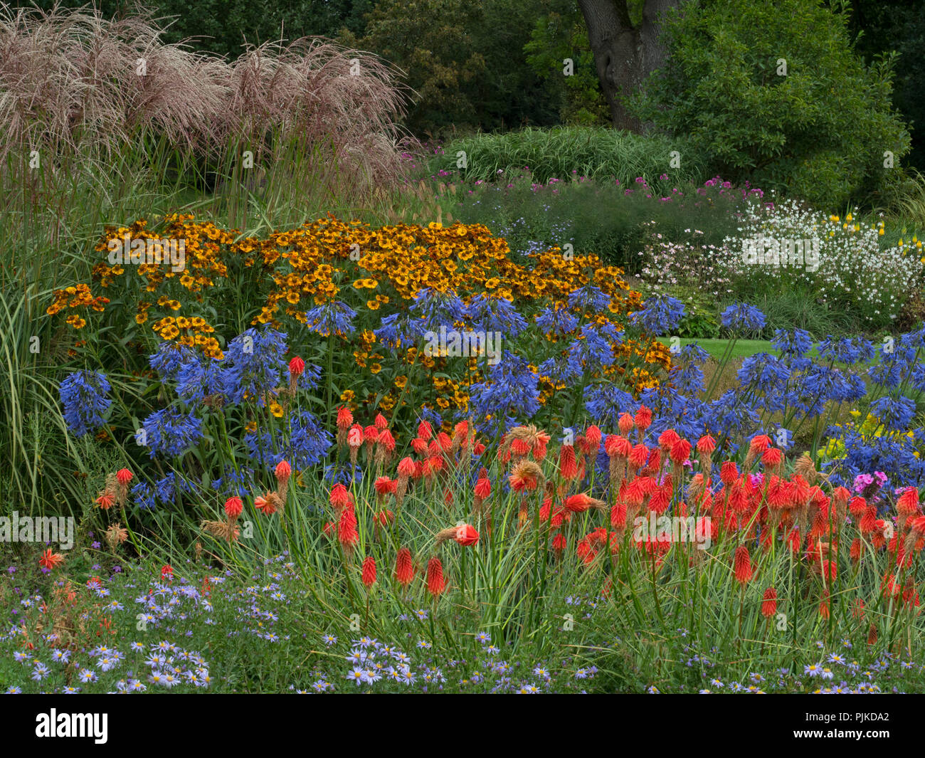 Colourful late summer garden flower border Stock Photo - Alamy