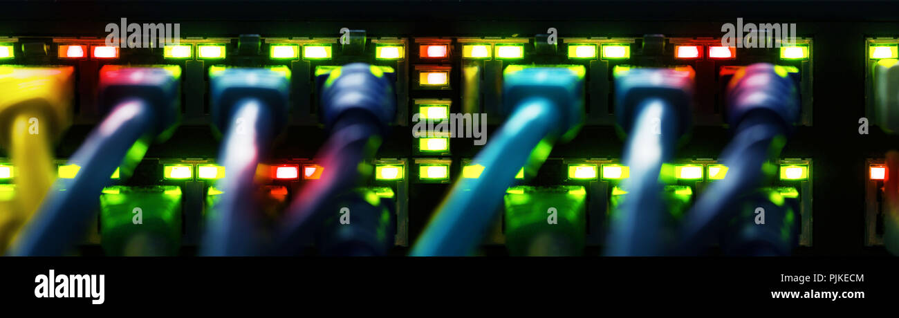Network cable connected to a switch, banner Stock Photo - Alamy