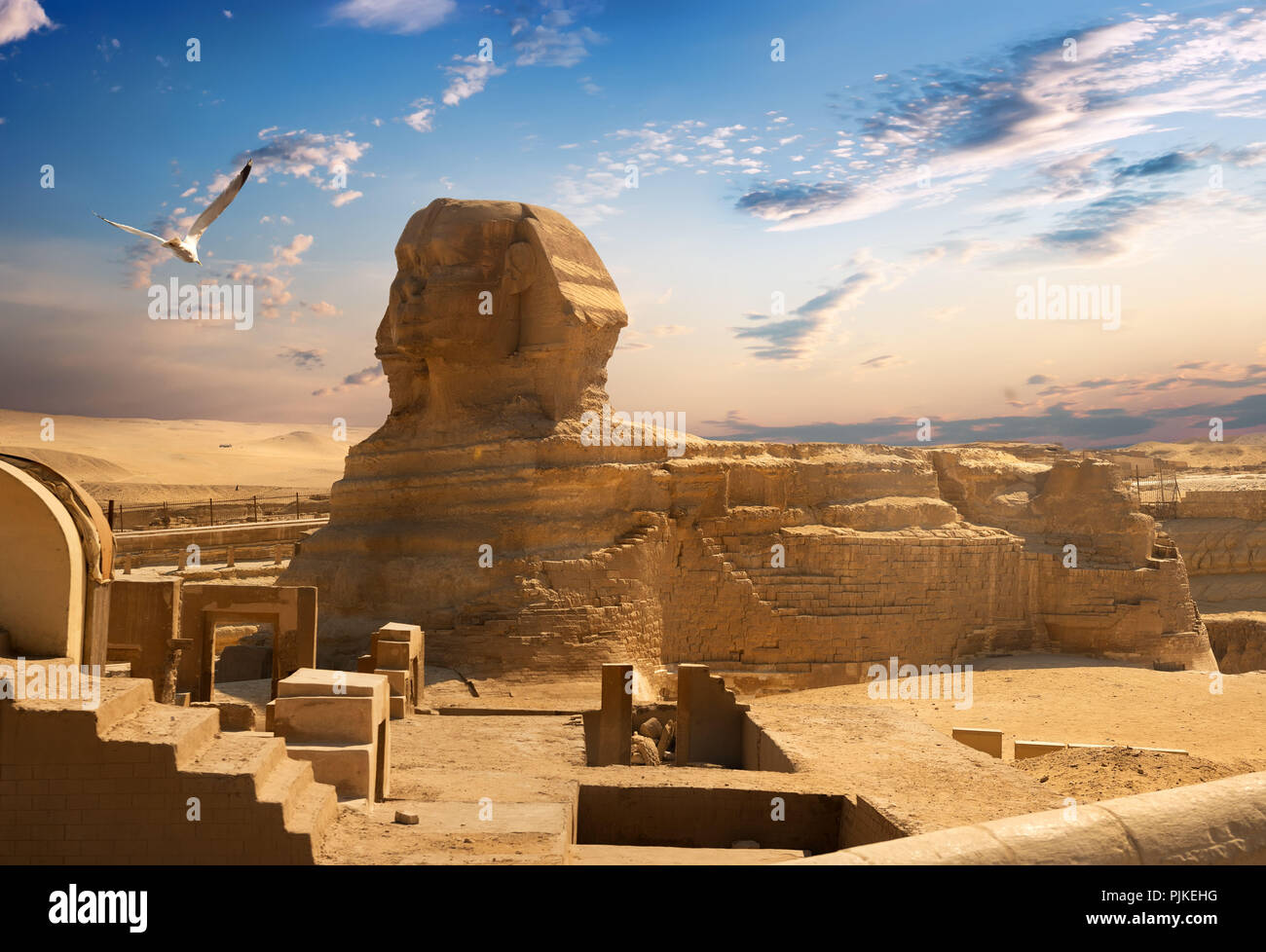 Sphinx and pyramid in the egyptian desert Stock Photo - Alamy
