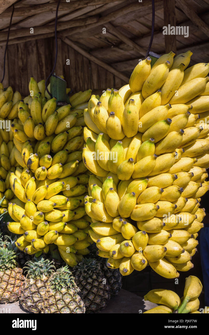 Cuba, fruit stall on the roadside, bananas Stock Photo - Alamy