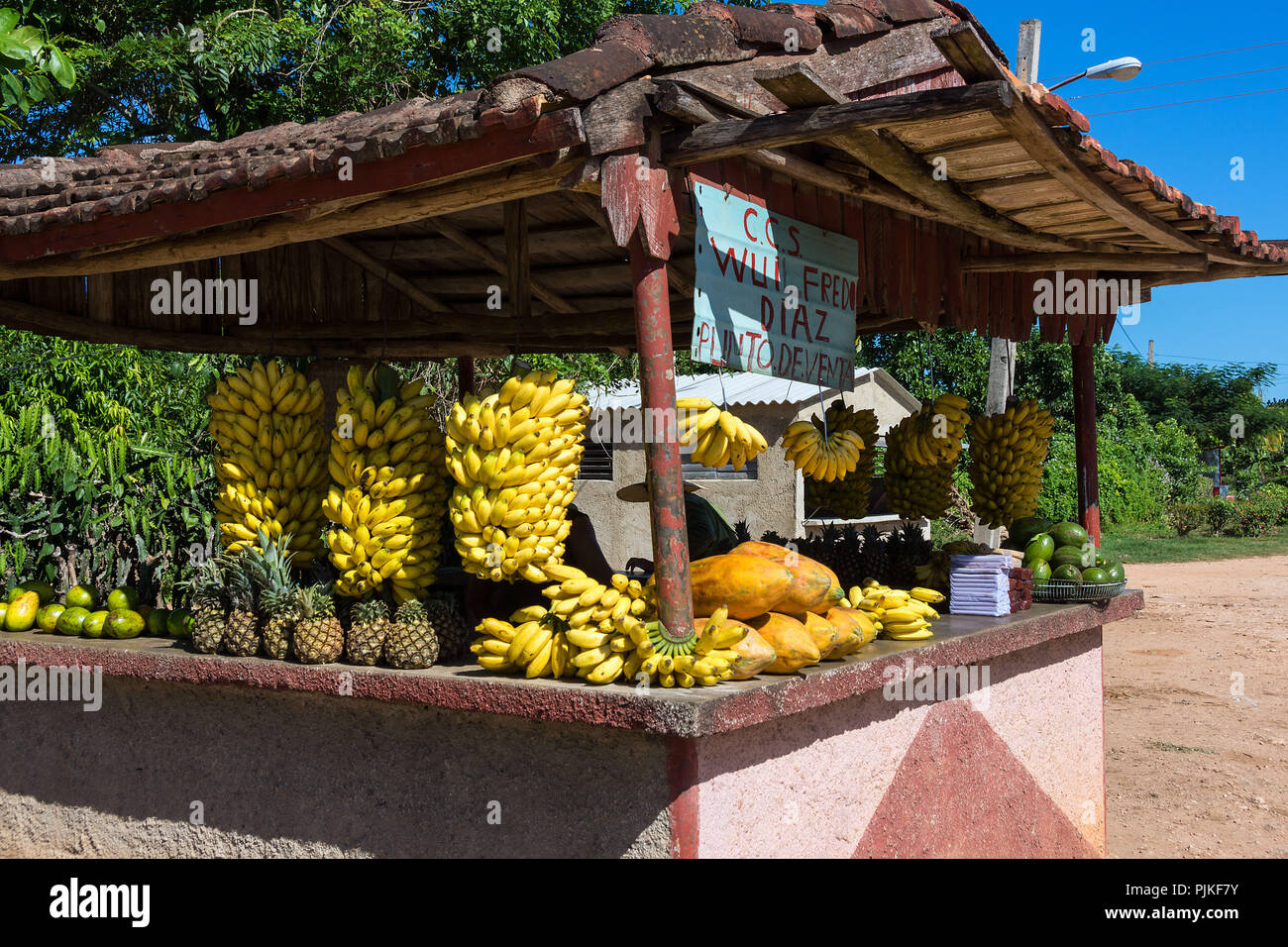 Cuba, fruit stall on the roadside, bananas Stock Photo - Alamy