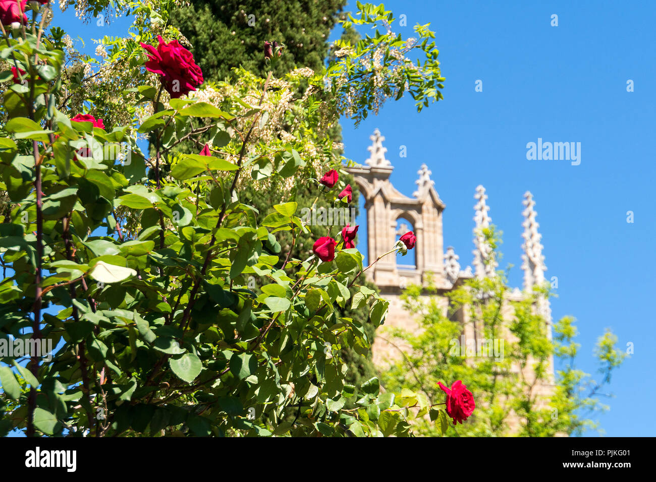 Spain, Toledo, spring, in the background San Juan de los Reyes ...