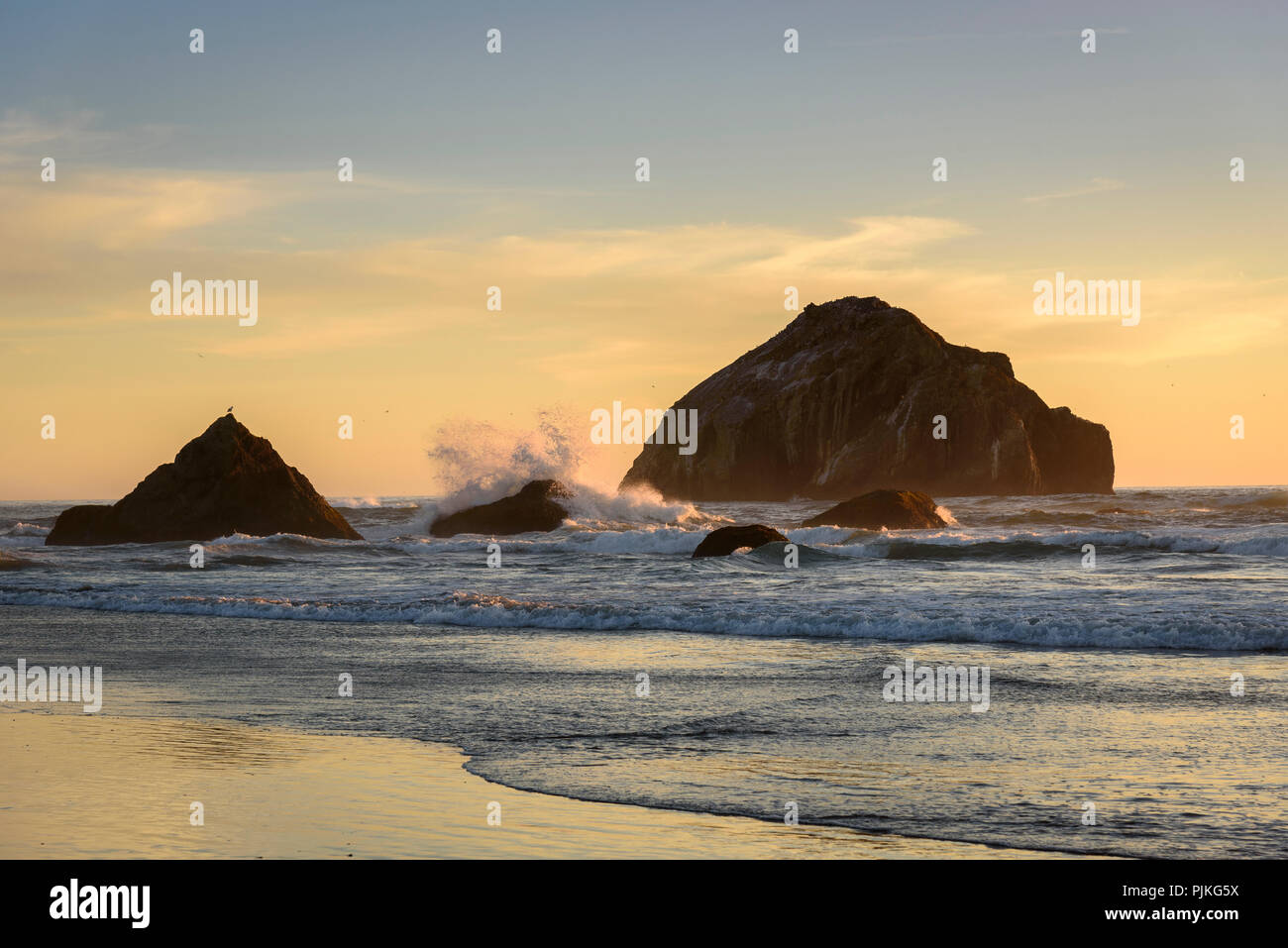 Face Rock at Bandon Beach on the southern Oregon coast Stock Photo - Alamy