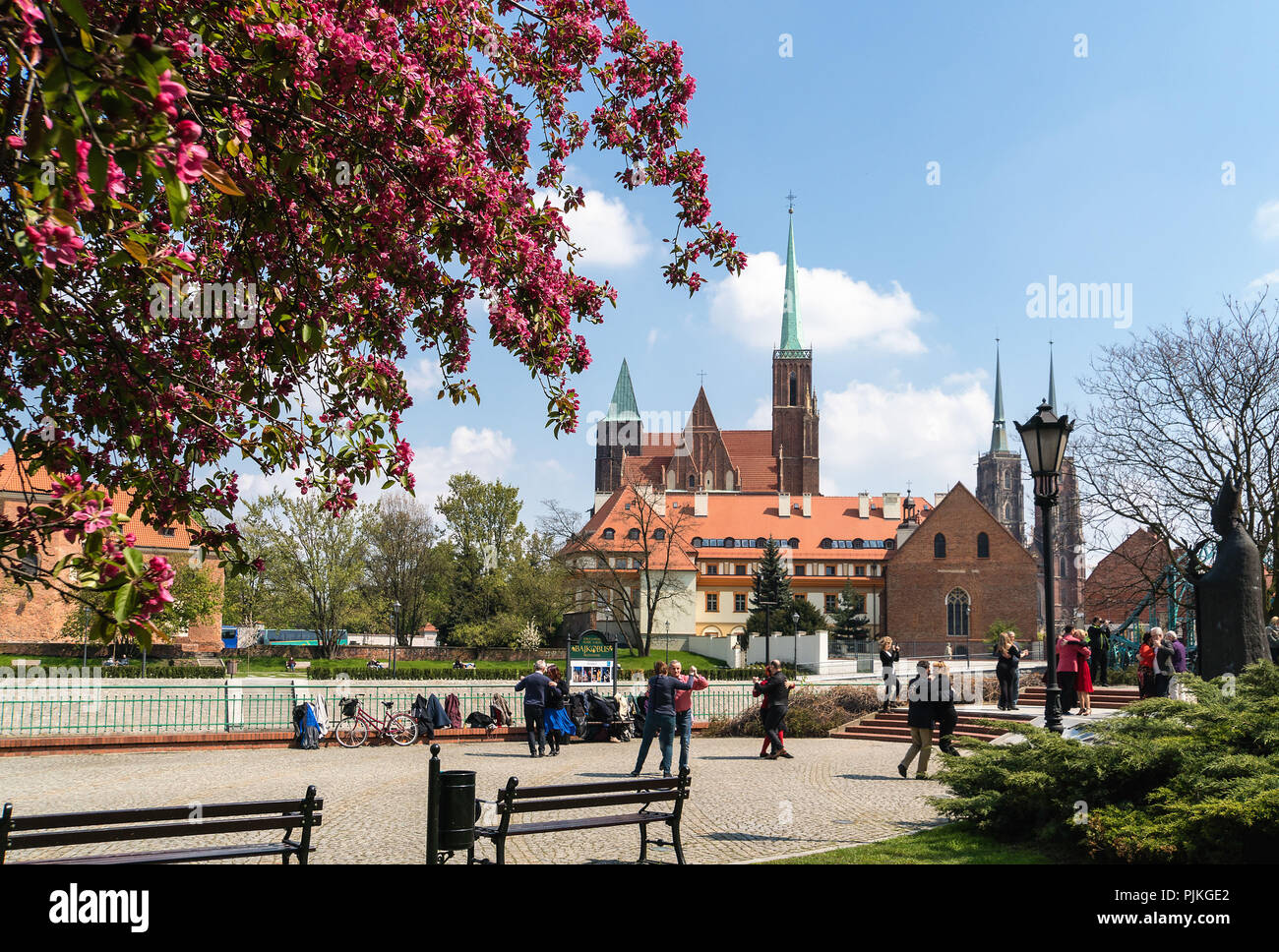 Poland, Wroclaw, island of Wyspa Piasek, tango dancing, street scene ...