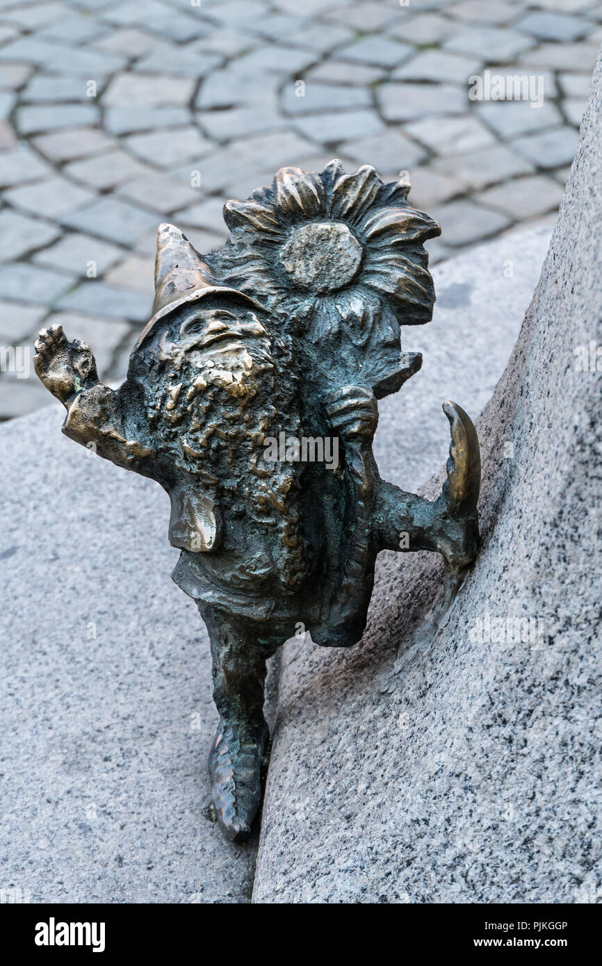 Orange alternative dwarf hi-res stock photography and images - Alamy
