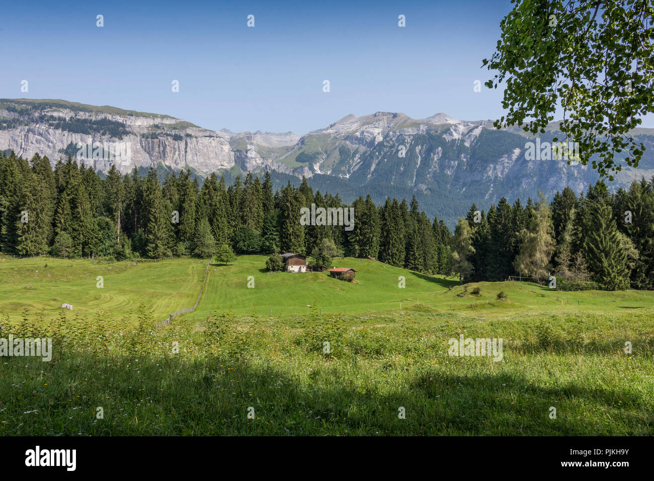 Landscape and view of high plateau flimserstein hi-res stock ...